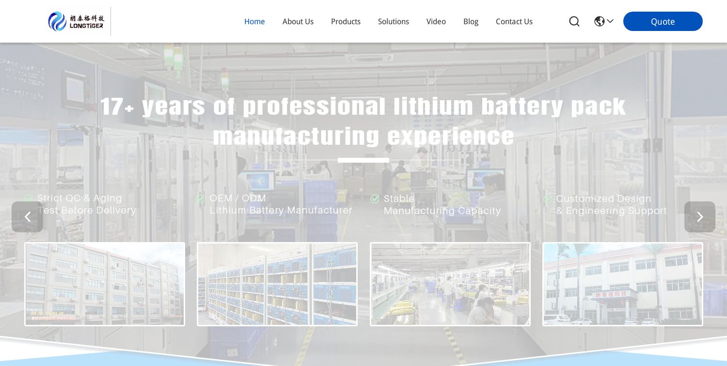 pc interface of longtigerbattery.com