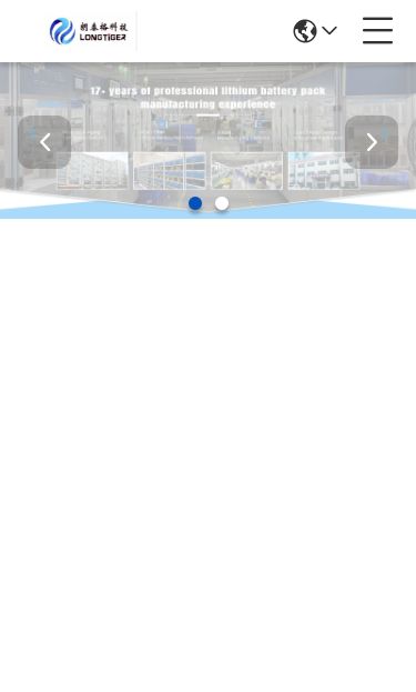mobile interface of longtigerbattery.com