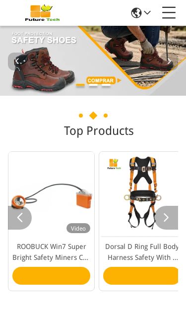 mobile interface of futuretechsafe.com