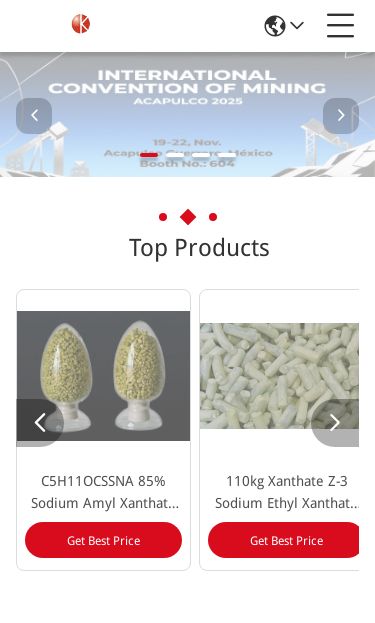 mobile interface of chinakinsun.com