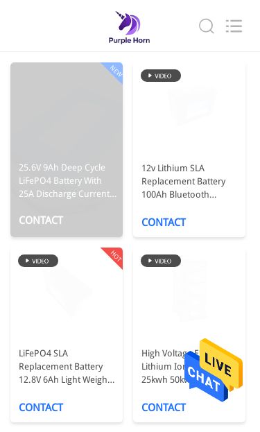 mobile interface of pac-battery.com